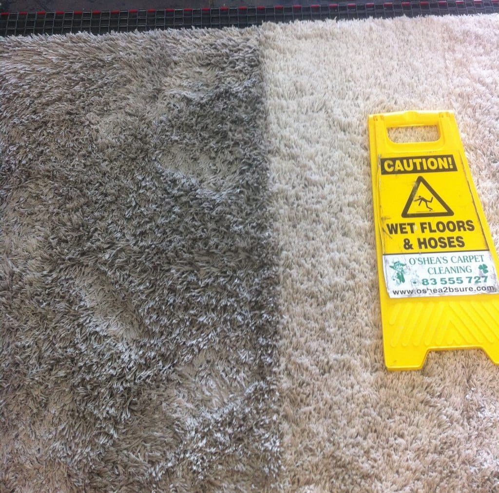 Rug Cleaner & Rug Wash Adelaide
